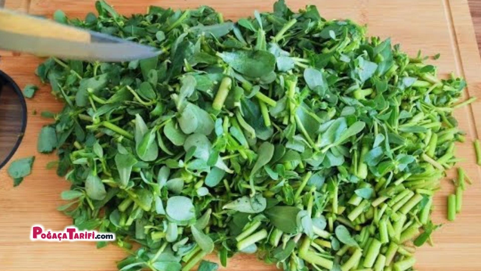 SEMİZOTU İLE 2 MUHTEŞEM TARİF